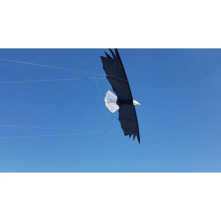 Sådan vælger du den rigtige line til din drage | Komplet guide ...